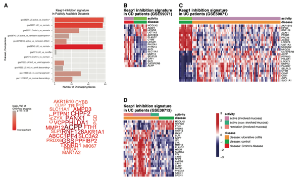 Cell Reports丨一氧化氮在吞噬细胞中参与由Prdx5介导的抗炎反馈回路 - 知乎