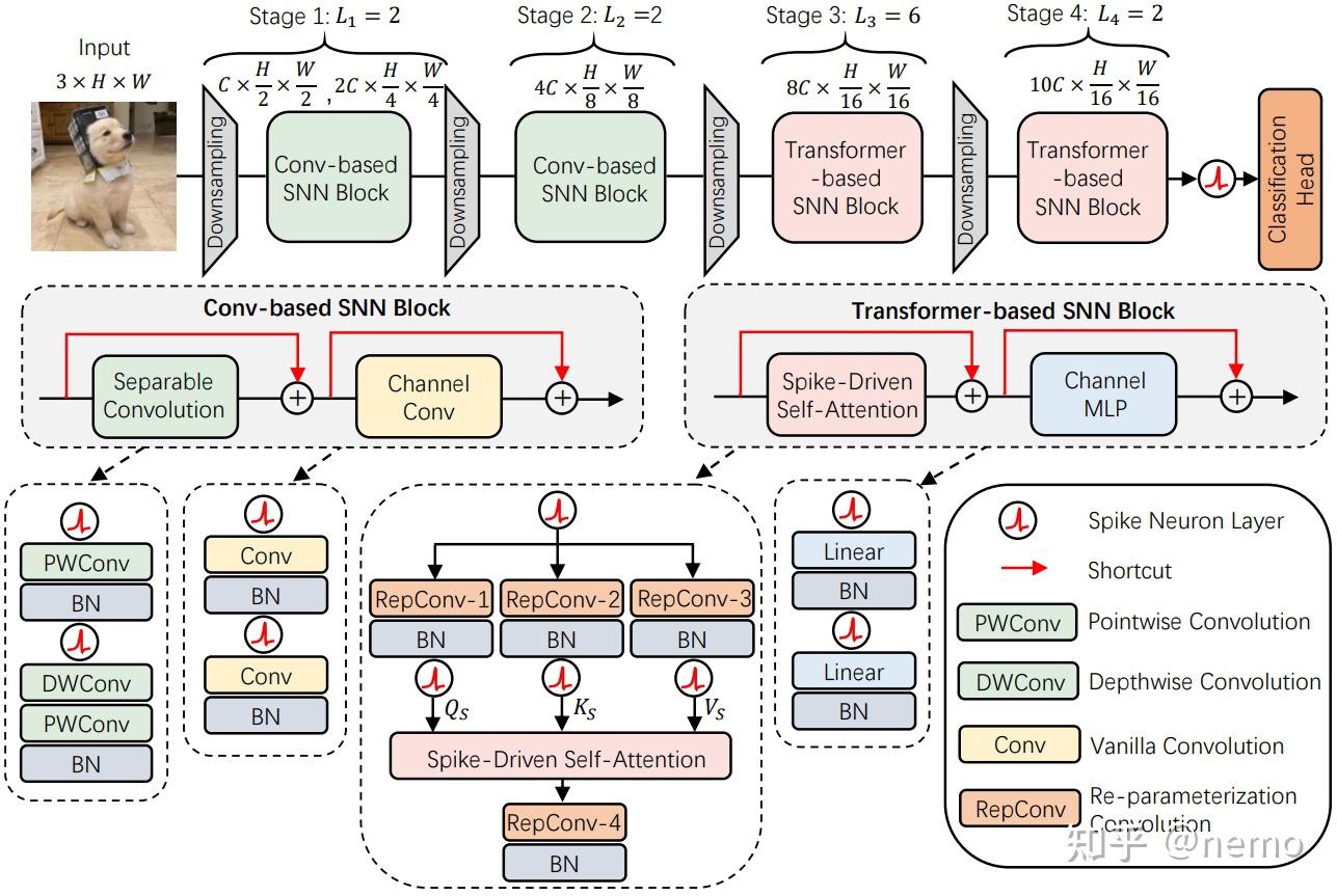 Spike-driven Transformer V2: 脉冲神经网络的meta架构设计启发下一代神经形态芯片设计！（ICLR 2024） - 知乎