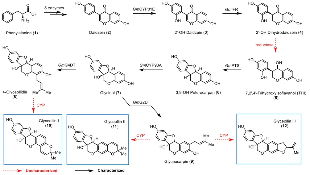 欣推荐 | Mol. Plant：阐明大豆抗毒素的完整生物合成途径并实现其异源从头合成 - 知乎