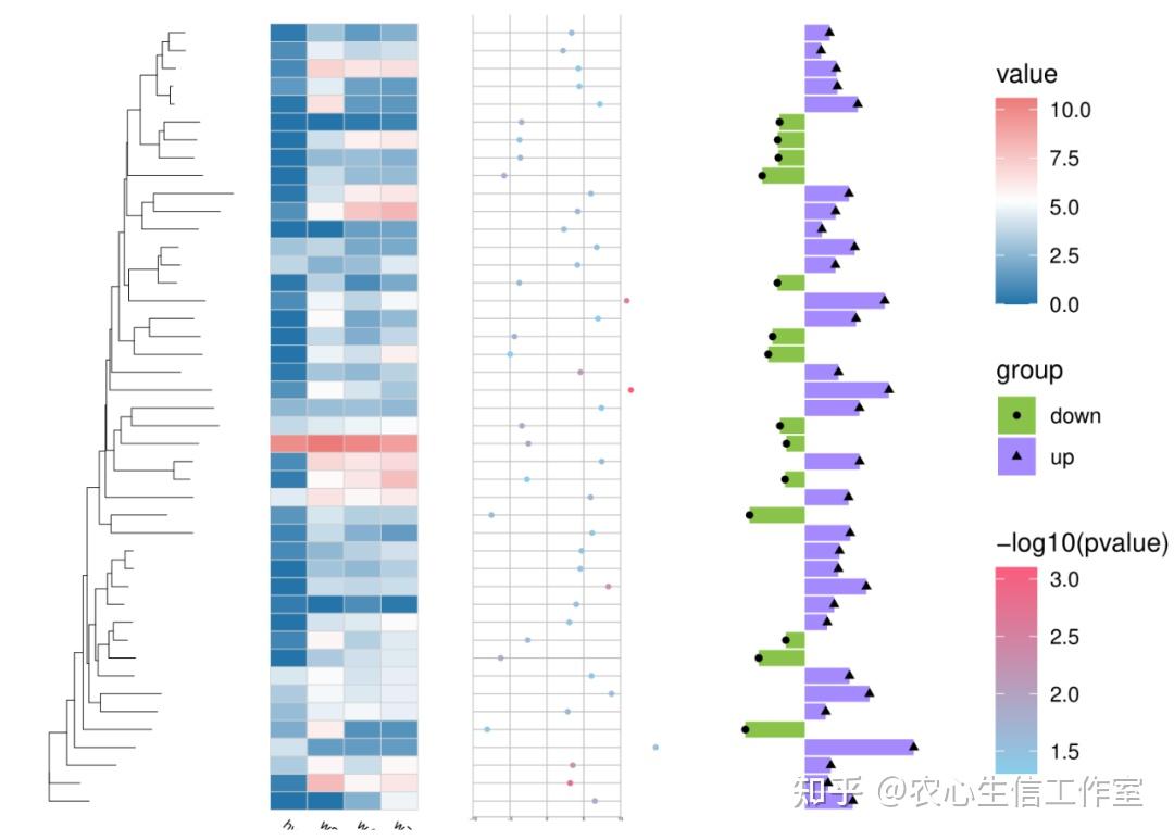 画最美的进化树：ggtreeExtra包进阶使用实例 - 知乎