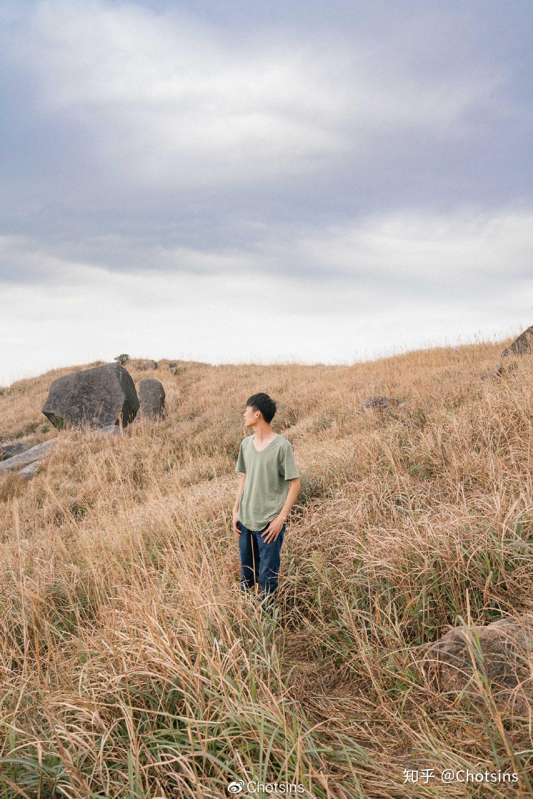 陈奕迅山｜芦草漫山盛开｜感受香港原始山林之美 - 知乎