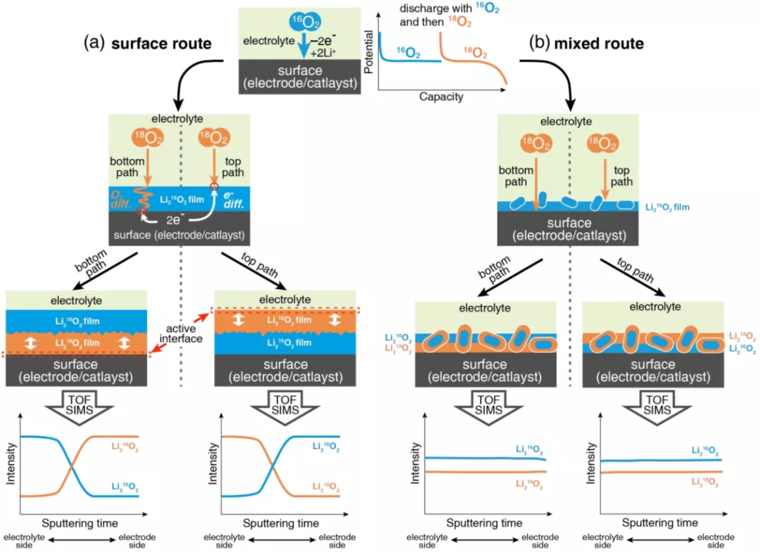 陈宇辉团队今日JACS：Li-O2电池放电的真实反应位点，值得关注 - 知乎