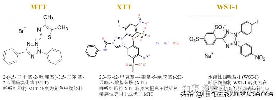细胞增殖检测你就知道MTT？你该学习了 - 知乎