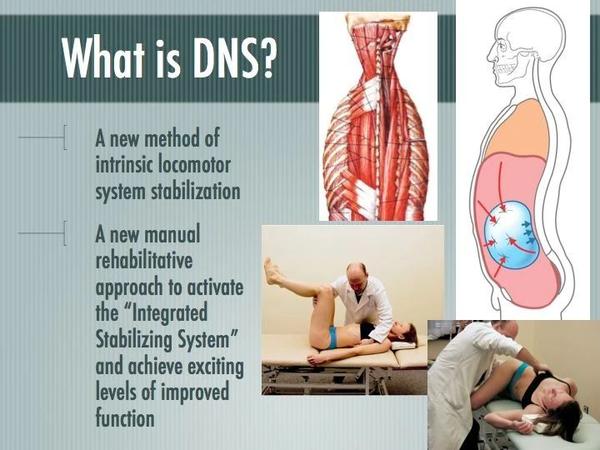 DNS（动态神经肌肉稳定技术）训练中的手部姿势 - 知乎