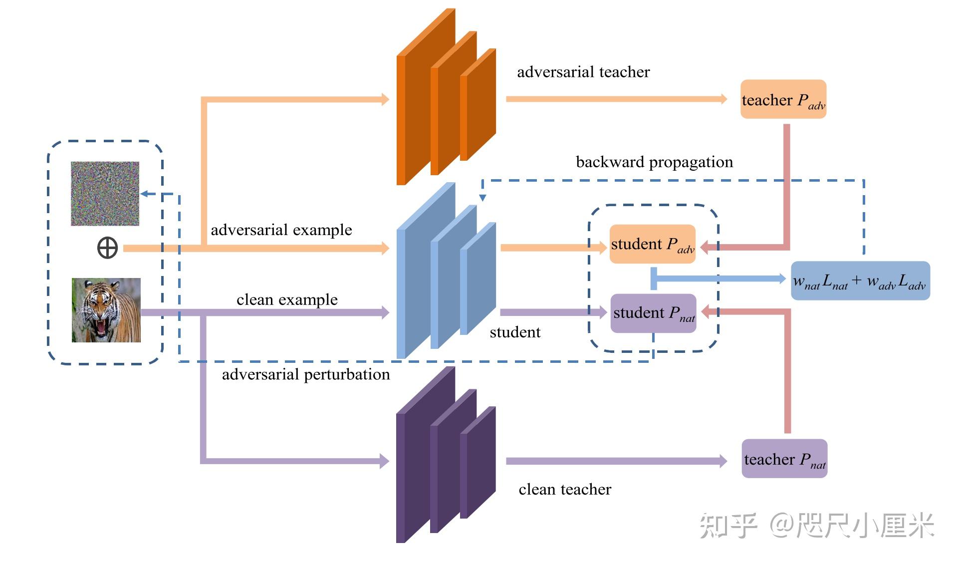 [论文总结] Multi-Teacher Adversarial Robustness Distillation - 知乎