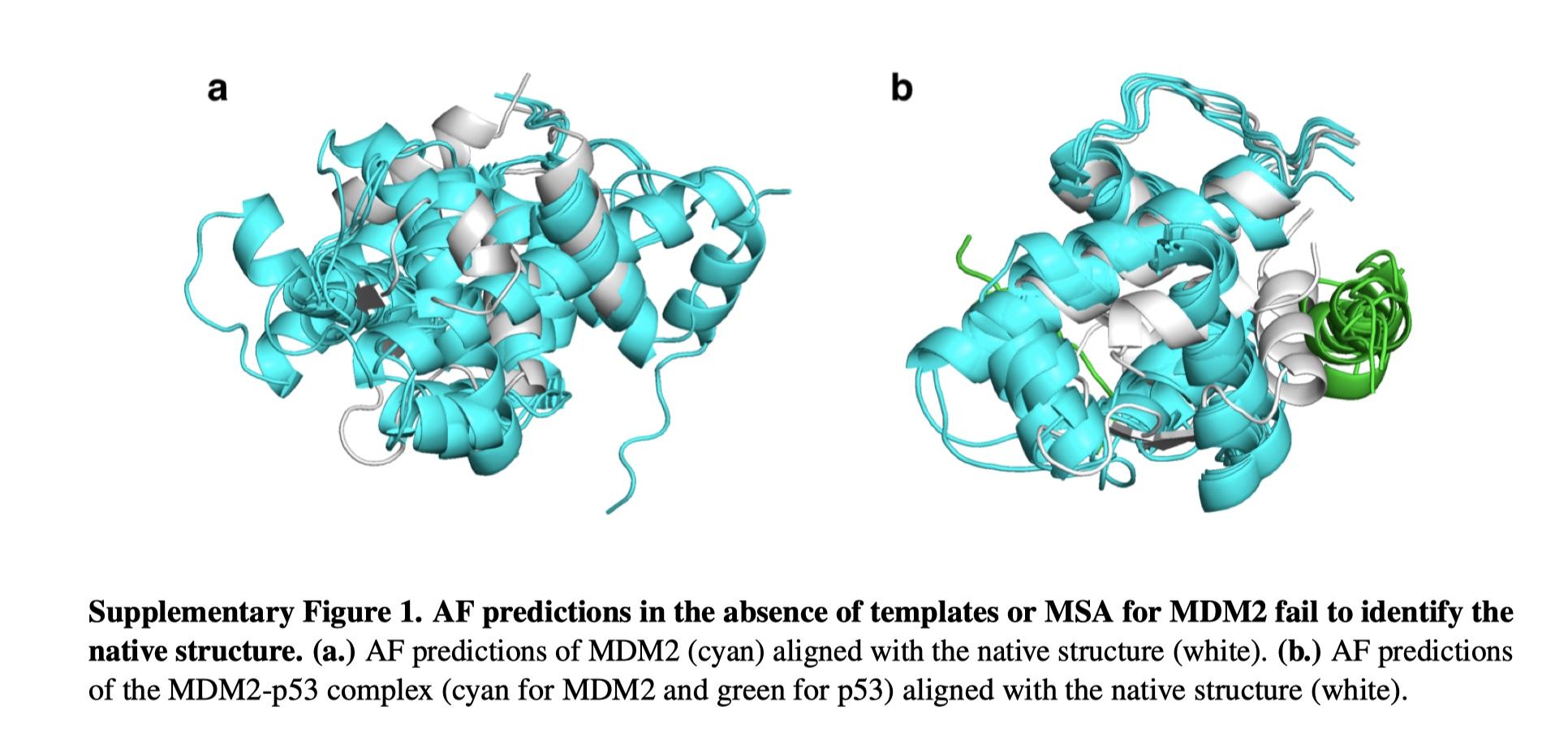 Alphafold2在多肽亲和力预测上的应用 - 知乎