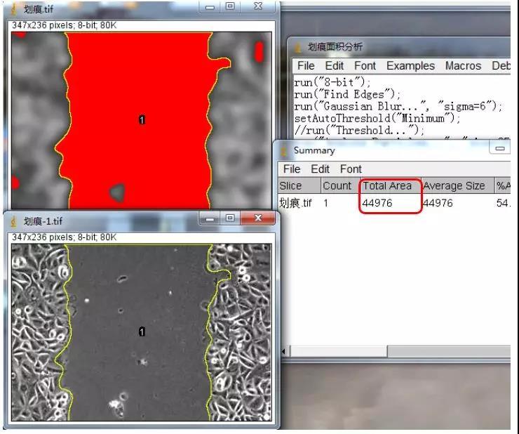 有哪些实用的ImageJ使用技巧？ - 知乎