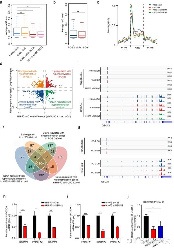 易基因：m5C高甲基化介导EGFR突变的非小细胞肺癌耐药潜在机理｜国人佳作 - 知乎
