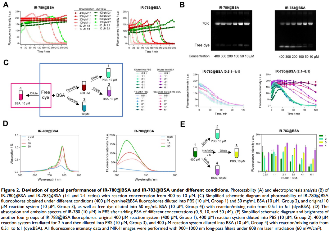 染料探针 | 增强NIR Ⅱ成像：超稳定荧光染料花菁@白蛋白 - 知乎