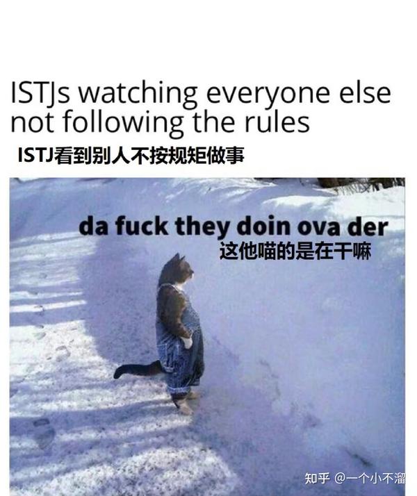 Istj型人格女生是智商不高吗 知乎