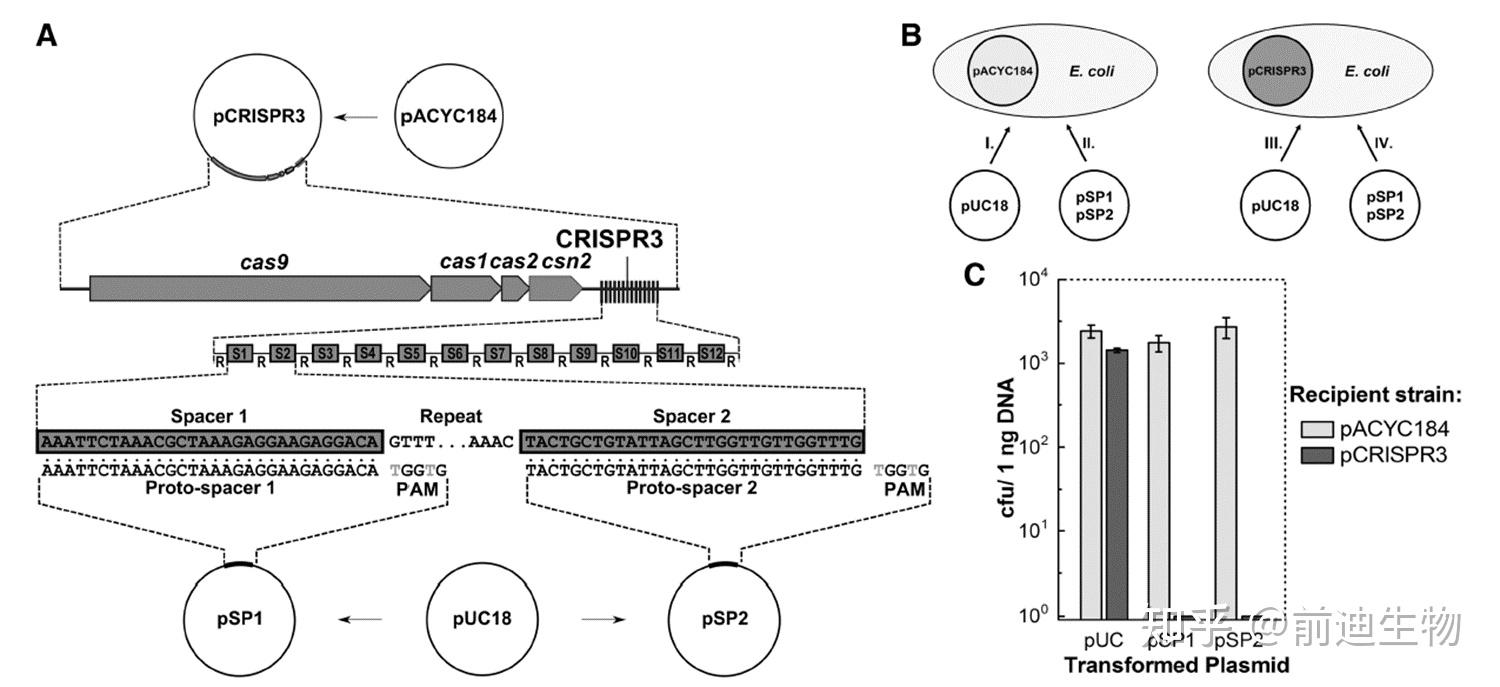 SHERLOCK技术简介 - 知乎