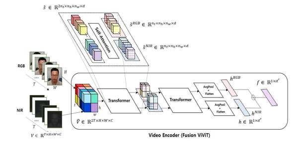 【rPPG论文阅读】Self-Supervised RGB-NIR Fusion Video Vision Transformer Framework for rPPG Estimation - 知乎