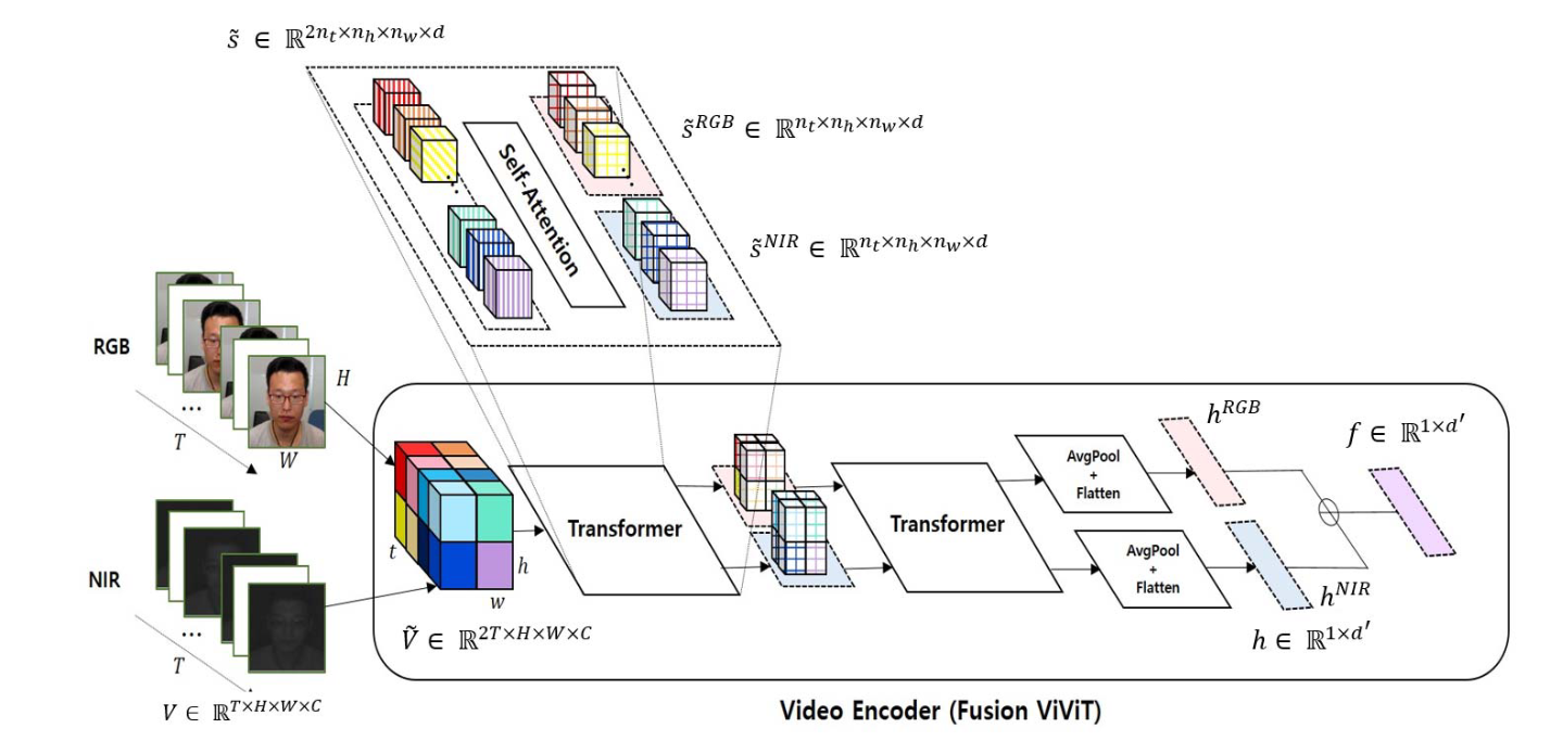 【rPPG论文阅读】Self-Supervised RGB-NIR Fusion Video Vision Transformer Framework for rPPG Estimation - 知乎