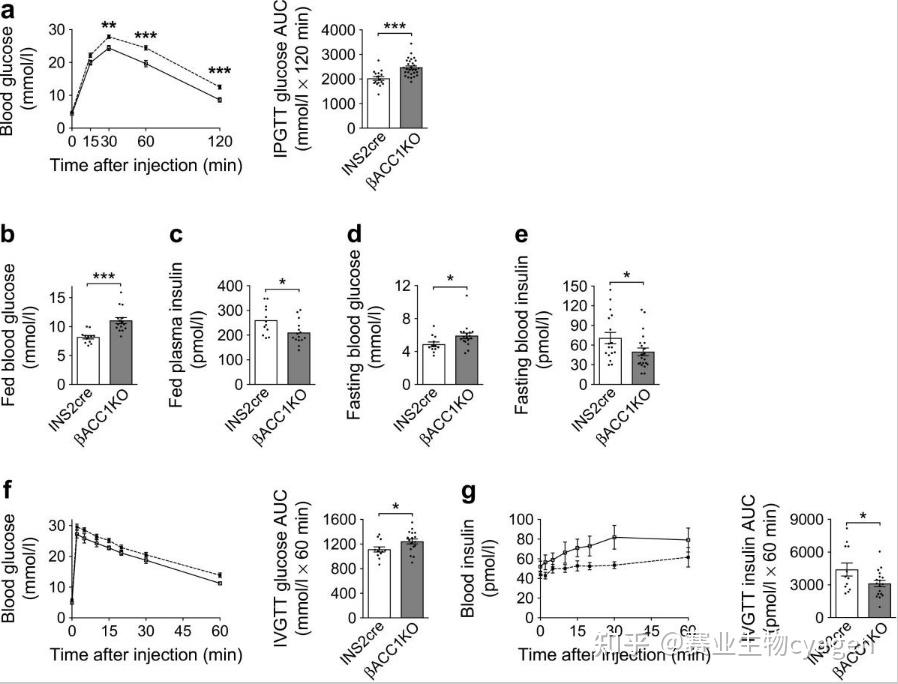 【每周一鼠】代谢性疾病的经典模型—Acaca基因敲除小鼠 - 知乎