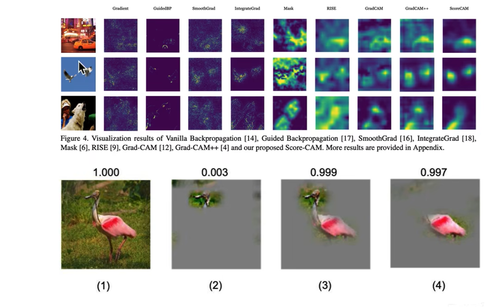 可解释机器学习：Grad-CAM - 知乎