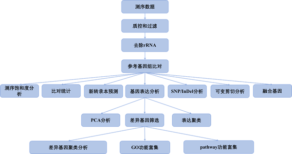 一文简介RNAseq生信分析流程 - 知乎