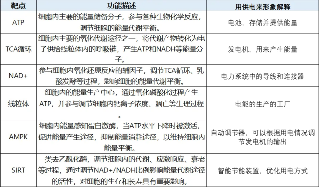 SIRT和AMPK靶点通路知识讲解 - 知乎