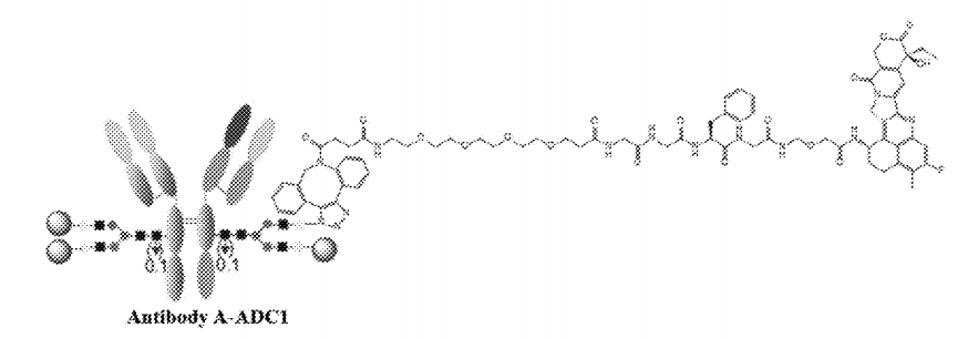 Trop2 ADC 荷载总结 - 知乎