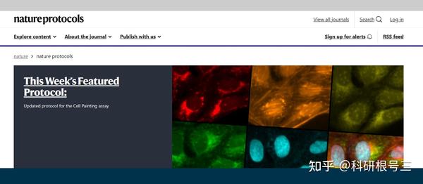 靠谱的实验protocol哪里找？这7个网站承包了！ - 知乎