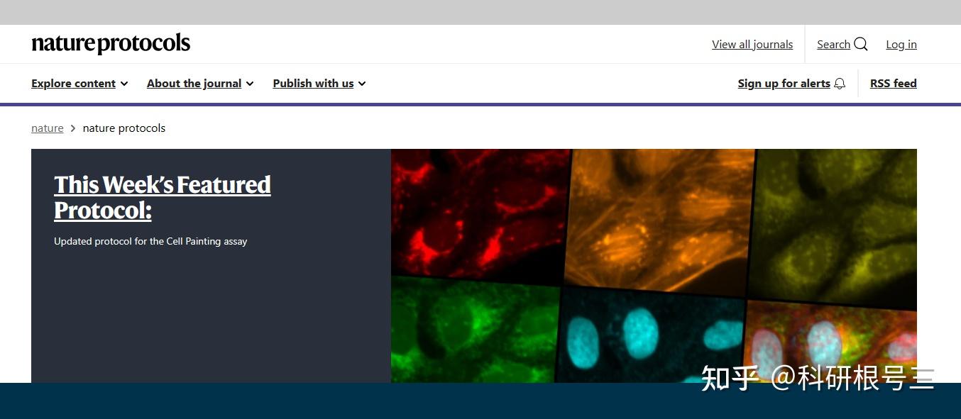 靠谱的实验protocol哪里找？这7个网站承包了！ - 知乎