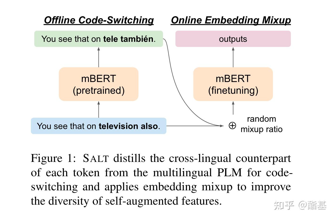 Code-Switching在多语言研究中的应用 - 知乎