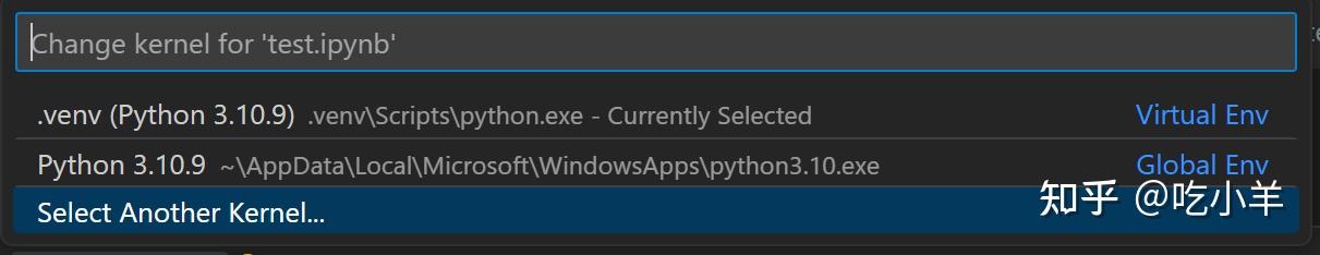 VS Code 中 Jupyter Notebook 使用方法 - 知乎