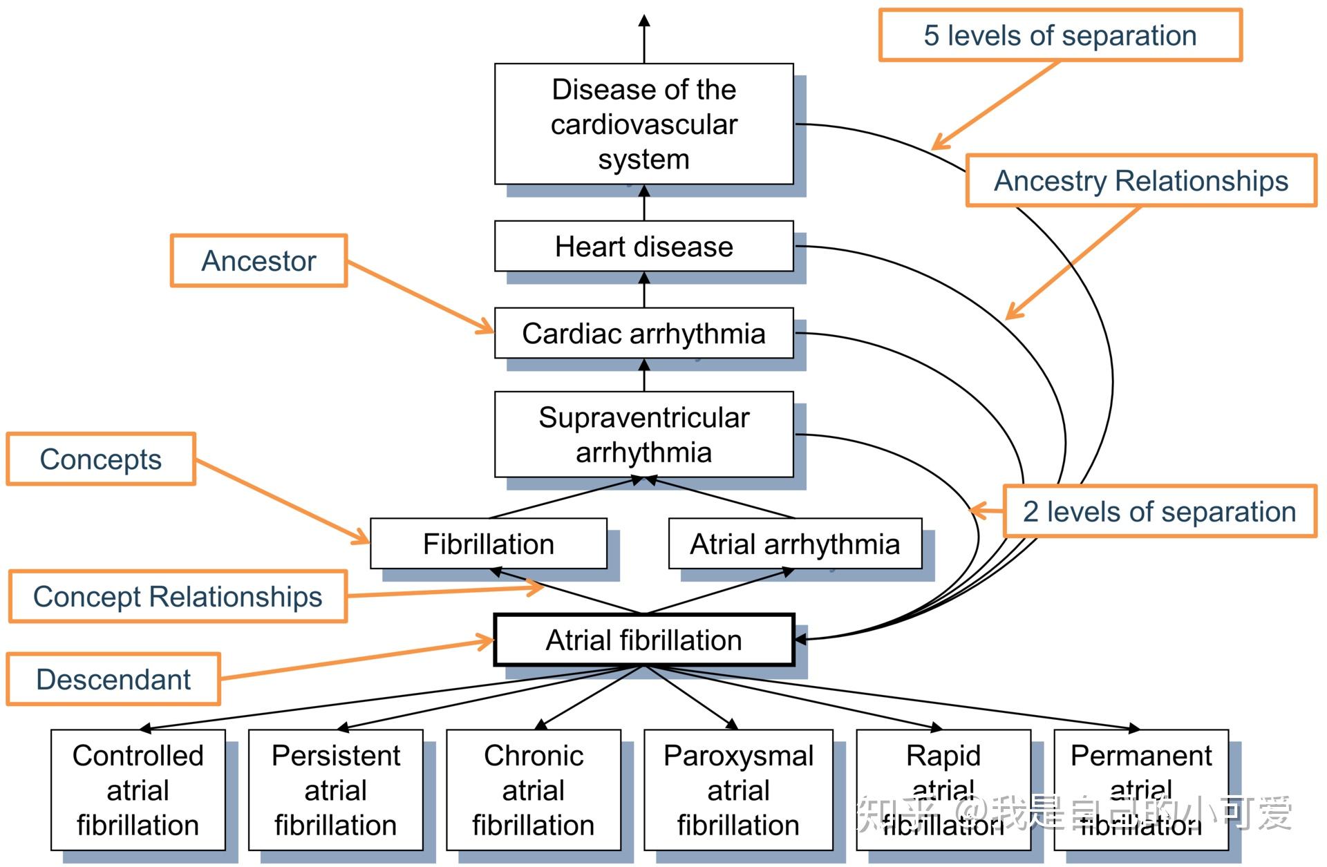 一起来了解OMOP标准化术语集 - 知乎