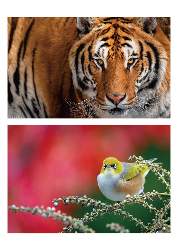 从大自然取色🌈 - 知乎