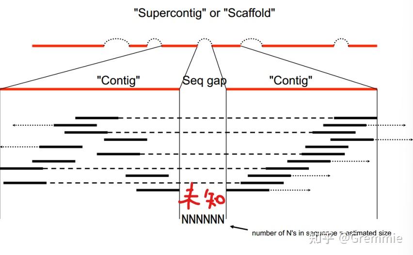 基因组装的概念/算法(OLC,K-mer)详解 - 知乎
