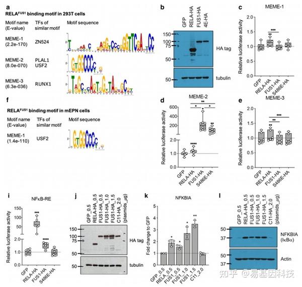 ChIP-seq应用领域、研究思路、数据挖掘、下游实验、实验关键 | 易讲堂 - 知乎