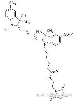 Sulfo-Cy5 mal磺化Cy5 马来酰亚胺 Sulfo-Cyanine5 maleimide 结构式理化性质 - 知乎