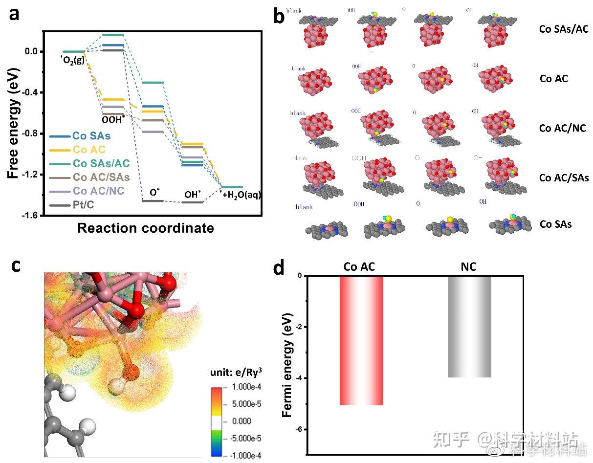 哈工大（深圳）徐成彦/福建物构所温珍海AFM：高载量Co单原子和团簇共同促进ORR活性提升 - 知乎