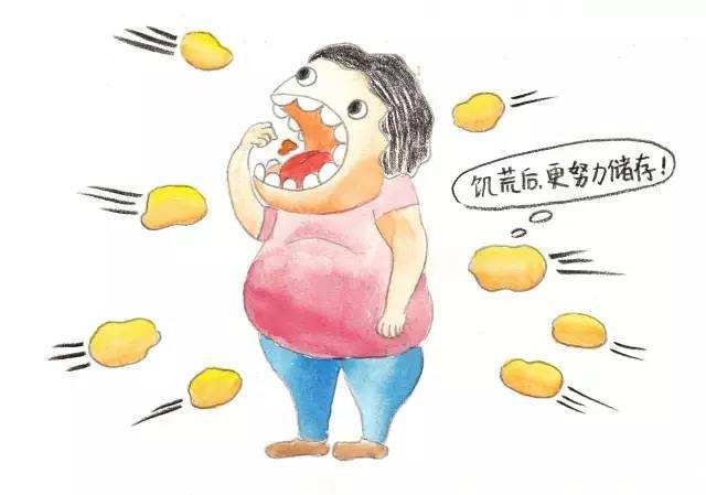 少食多餐真的能减肥吗？ 知乎