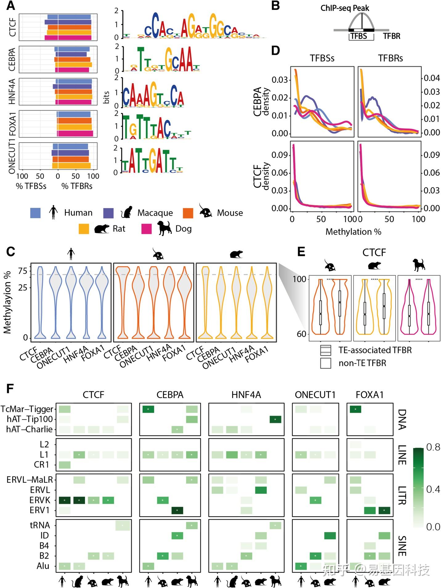 ChIP-seq+WGBS分析揭示转录因子结合区DNA甲基化表征其功能和进化背景 - 知乎