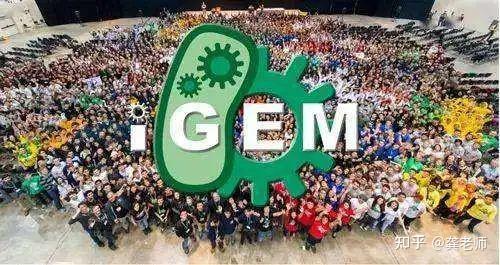 2023国际遗传工程机器大赛（iGEM）启动，组队报名进行中！ - 知乎