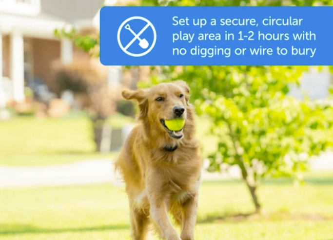 Petsafe vs PETKIT小佩：出海品牌新打法，挖掘用户被市场忽视的新需求 - 知乎