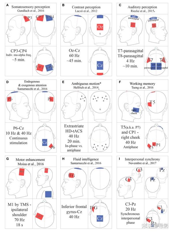 经颅交流电刺激（tACS）的机制和方案 - 知乎