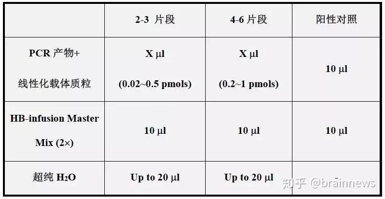 技术分享:无缝克隆——让载体构建更easy (文末送福利) 知乎