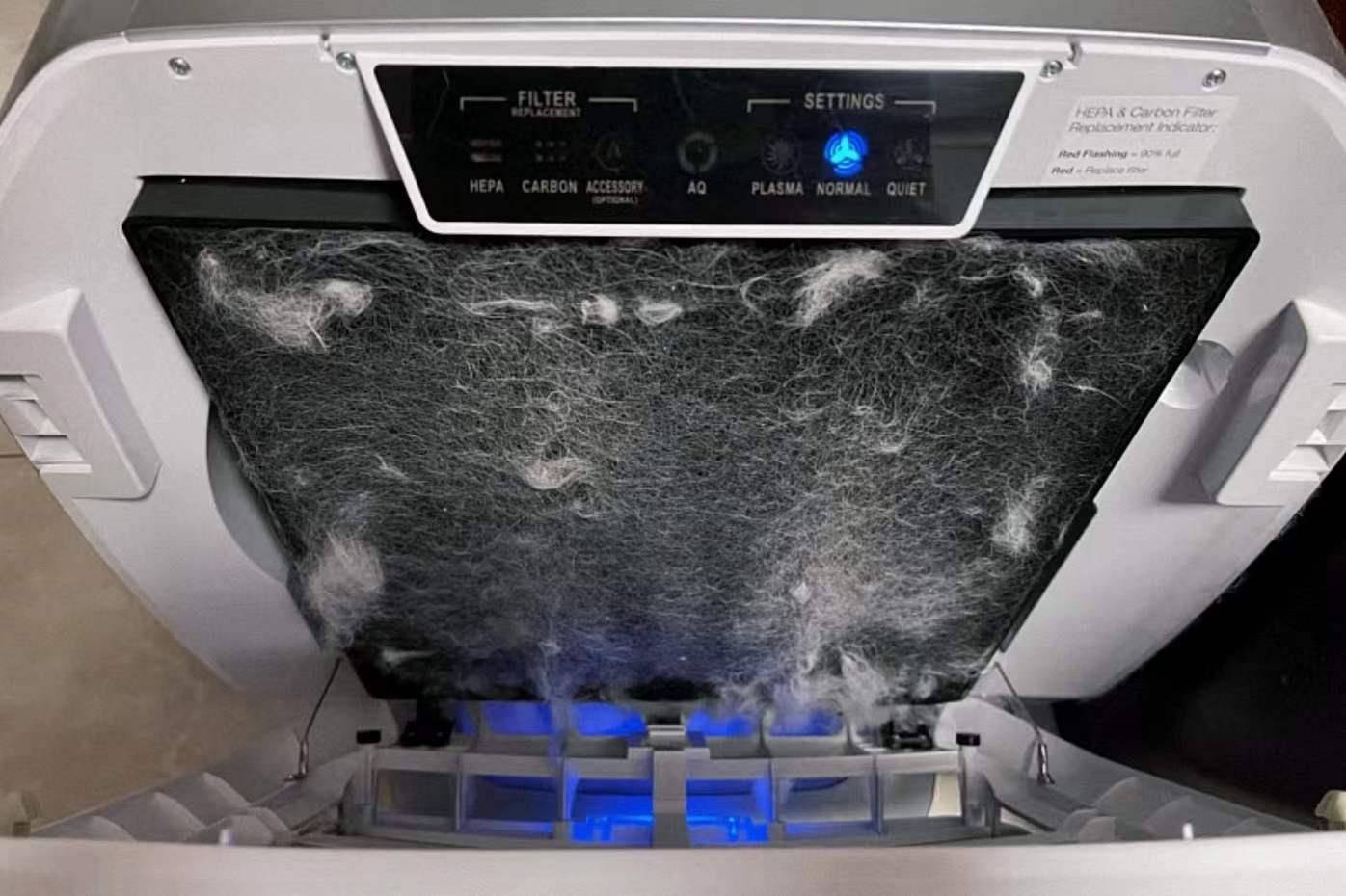 宠物空气净化器选购指南 | 范罗士、Blueair、352、IAM、IQAir五款空气净化器横向测评,养宠家庭更适合哪个品牌？