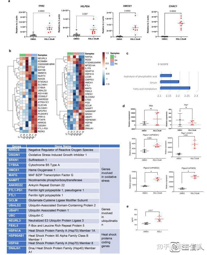 肿瘤中性粒细胞铁死亡导致癌症免疫抑制 - 知乎