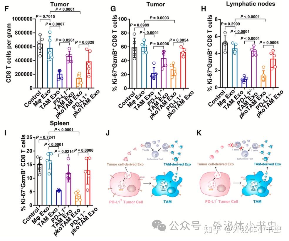 文献分享【Cell Rep.】巨噬细胞来源外泌体携带PD-L1导致肿瘤免疫抑制 - 知乎