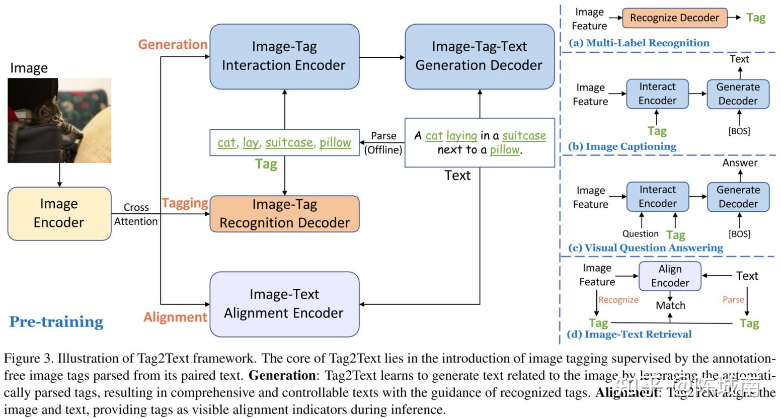 识别一切模型RAM（Recognize Anything Model）及其前身 Tag2Text 论文解读 - 知乎