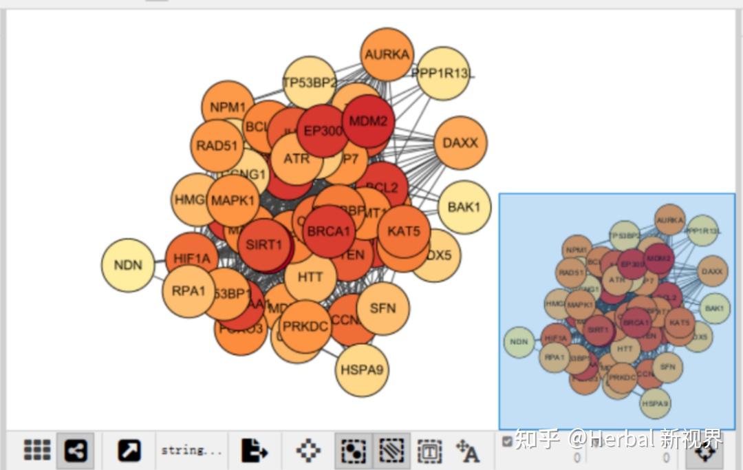 手把手教学｜String数据库与Cytoscape软件联合应用 - 知乎