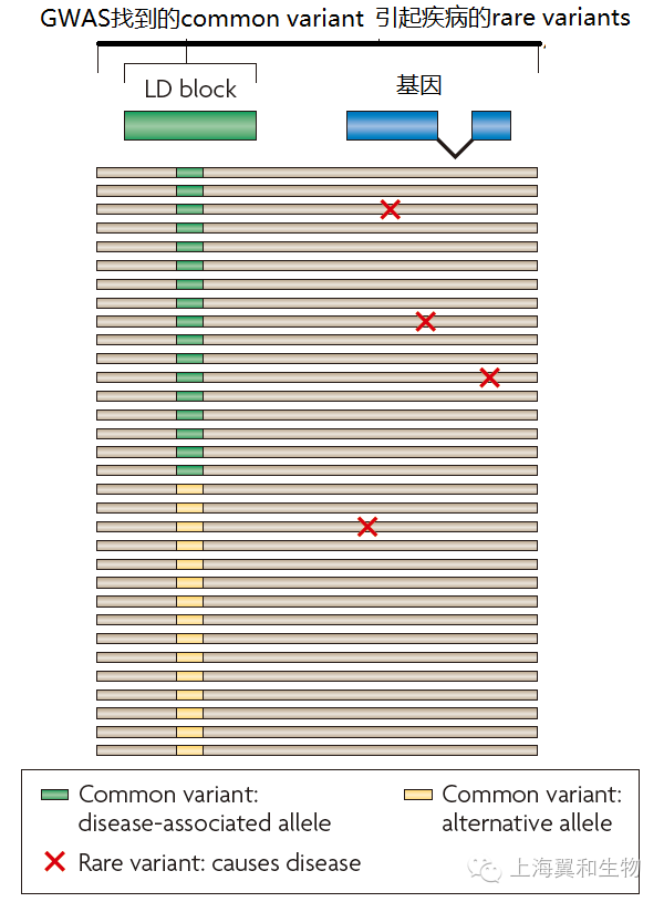 候选基因重测序+基因分型的FAQ （一） - 知乎