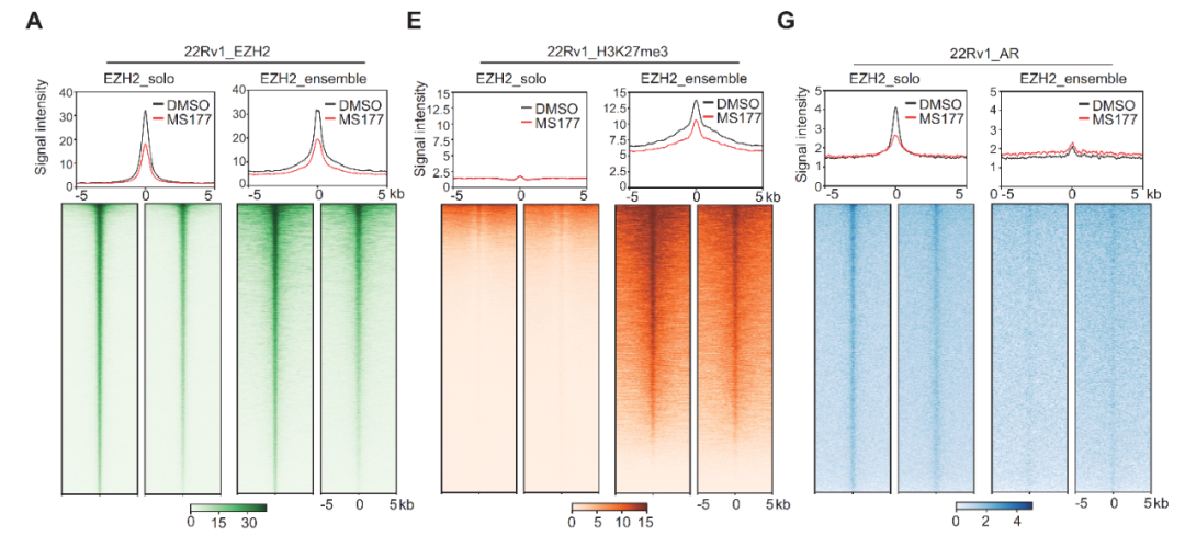 NAR︱蔡玲/王刚/金坚团队合作揭示和靶向前列腺癌中EZH2的双重功能 - 知乎