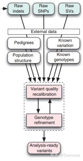重测序数据分析（短序列的比对算法SNP/indel 和CNV/SV calling 方法） - 知乎