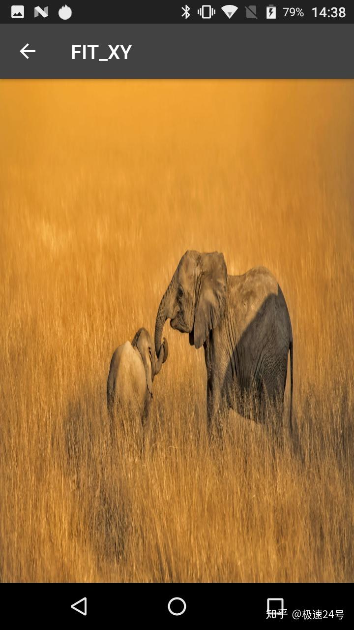 这一次，彻底帮你搞明白 ImageView ScaleType - 知乎