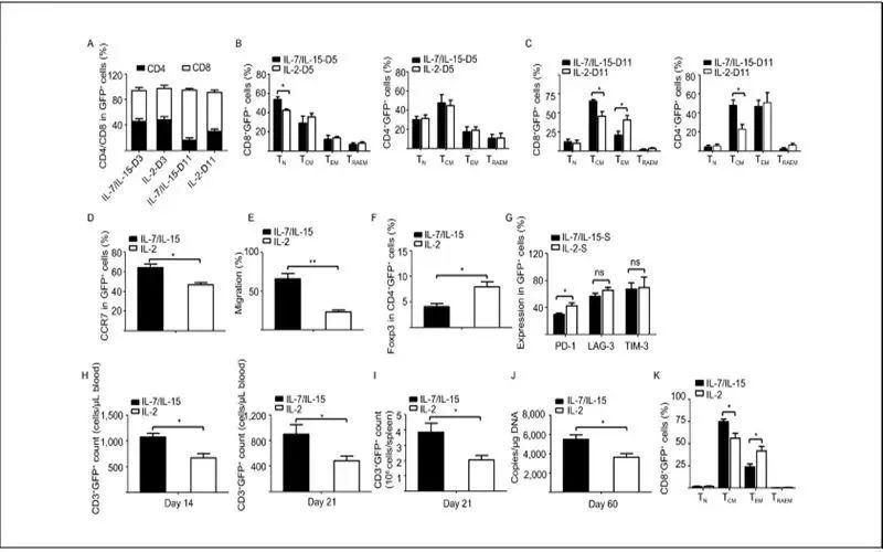 干货 | IL-7 与IL-15共同调制的T细胞生长鸡尾酒 - 知乎