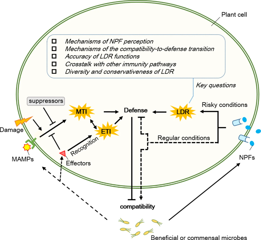 ISME | 植物如何“防范”有益微生物带来的潜在风险？ - 知乎