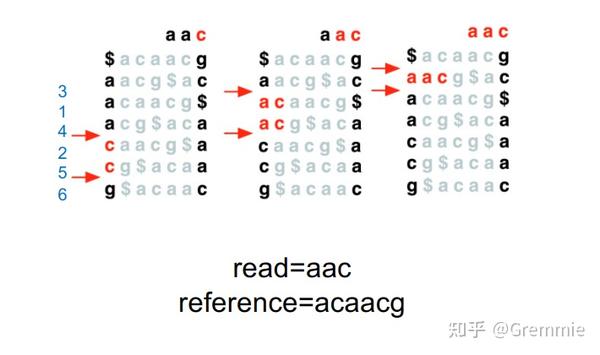 重测序数据分析（短序列的比对算法SNP/indel 和CNV/SV calling 方法） - 知乎